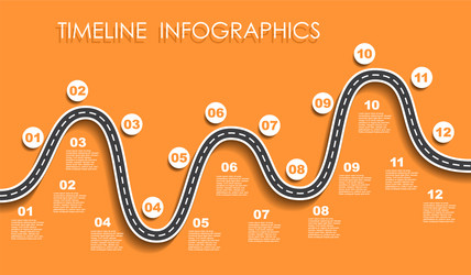 Infographic 12 months timeline separated quarters Vector Image