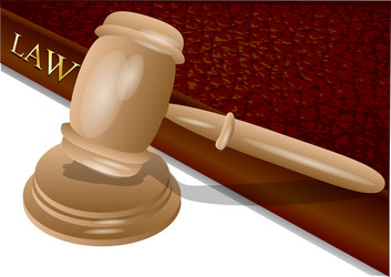 Gavel and books Royalty Free Vector Image - VectorStock