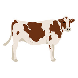 Flat cow Royalty Free Vector Image - VectorStock