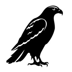 Hawk black icon on white background Royalty Free Vector
