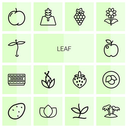 Sweet Potato Tree Vector Images (79)