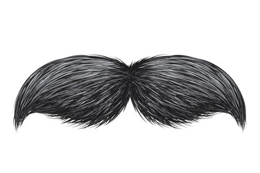 Realistic retro mustache isolated Royalty Free Vector Image