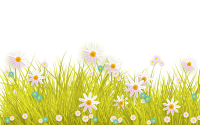 Spring border with green grass and flowers Vector Image