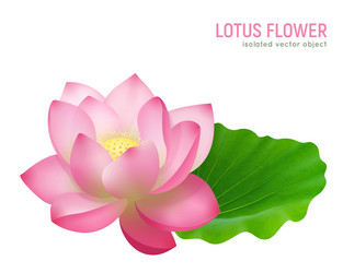 Lotus Vector Images (over 86,000)
