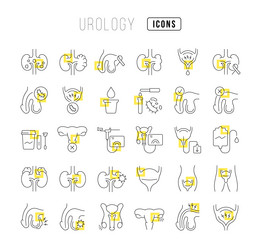 Set of linear icons urology Royalty Free Vector Image