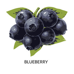 Blueberry Vector Images (over 27,000)