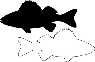 Perch Royalty Free Vector Image - VectorStock