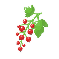 Cartoon redcurrant isolated on white background Vector Image