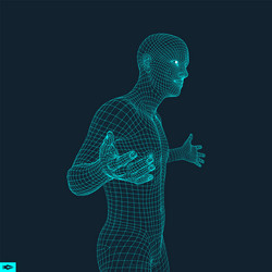 Set of 3d wire frame human body Royalty Free Vector Image