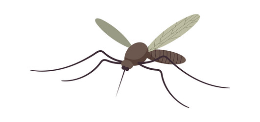 Mosquito Vector Images (over 12,000)