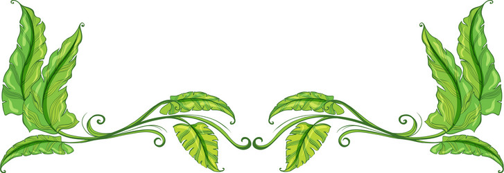 Green Flower Border Design