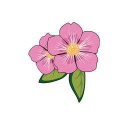 Wild rose pattern Royalty Free Vector Image - VectorStock