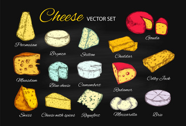 Cheese collection hand drawn Royalty Free Vector Image