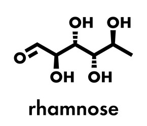 Rhamnose l-rhamnose deoxy sugar molecule used Vector Image