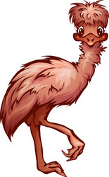 Cute Emu Vector Images (over 890)