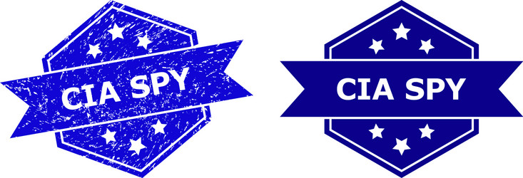 Fbi Watermark Spy Vector Images (over 170)