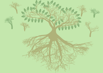 Root system a tree with leaves Royalty Free Vector Image