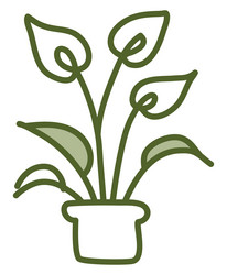 Peace Lily Vector Images (over 910)