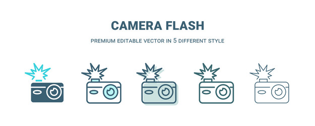 Camera flash icon in 5 different style outline Vector Image