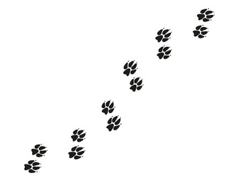 Fox feet tracks animals paws and sillhouetts Vector Image
