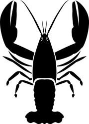 Craw Vector Images (over 220)