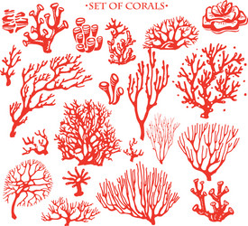 Sea reef corals seamless pattern marine abstract Vector Image
