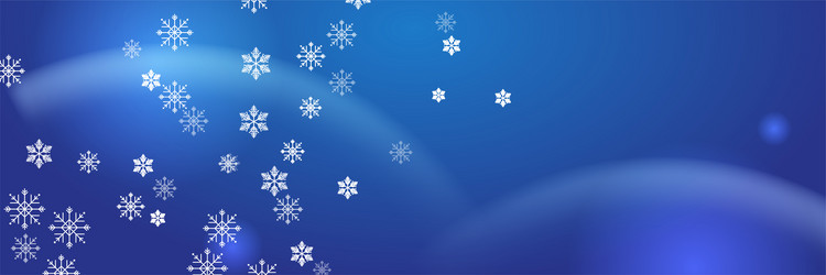 Beautiful blue christmas banner with text space Vector Image