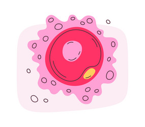 Platelet human cell Royalty Free Vector Image - VectorStock