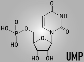 Nucleotide Vector Images (over 560)