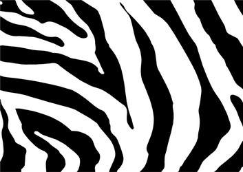 Zebra Print Vector Images (over 14,000)