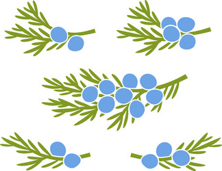 Juniper Tree Vector Images (over 1,000)