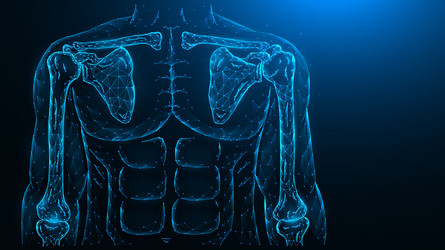 Upper Limb Vector Images (over 110)