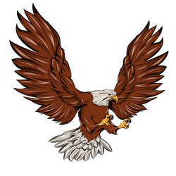 Eagle standing on white background Royalty Free Vector Image