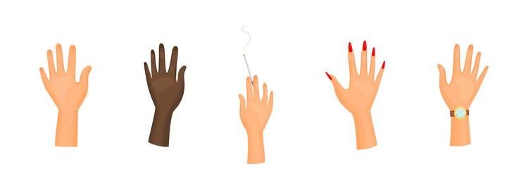 Left and Right Hand Vector Images (over 8,000)