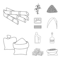 Palm Sugar Vector Images (over 780)