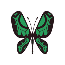 Exotic color butterfly hand drawn moth wings Vector Image