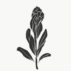 Protea Logo Vector Images (over 140)