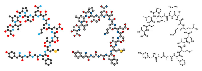 Peptide Vector Images (over 1,300)