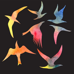 Watercolor Bird Vector Images (over 12,000)
