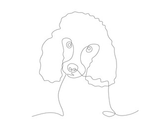Poodle Line Art Vector Images (over 1,900)