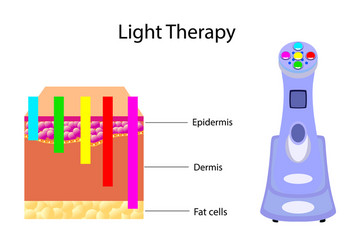 Light therapy diagram Royalty Free Vector Image
