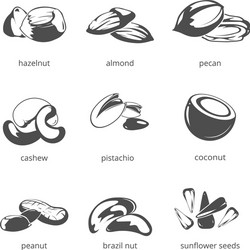 Nuts icon set Royalty Free Vector Image - VectorStock