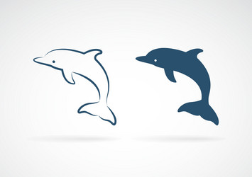 Dolphin Royalty Free Vector Image - VectorStock