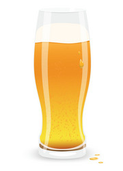 Dark beer Royalty Free Vector Image - VectorStock