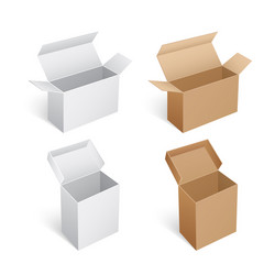 Two rectangular packaging boxes mockups isolated Vector Image