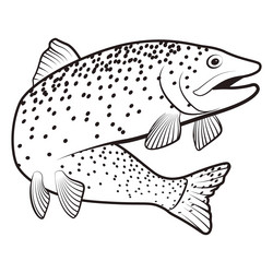 Sportfish Vector Images (over 140)
