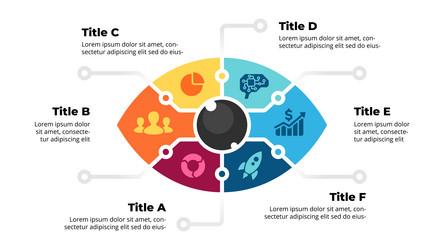 Eye anatomy infographic circle chip diagram 4 Vector Image