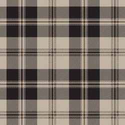 Elegant pastel green and beige plaid pattern Vector Image