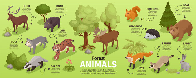 Forest Infographic Vector Images (over 4,600)