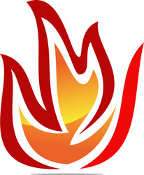 Fire diamond logo design template Royalty Free Vector Image